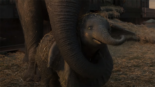 Trailer internacional de Dumbo live-action | OtakuPT