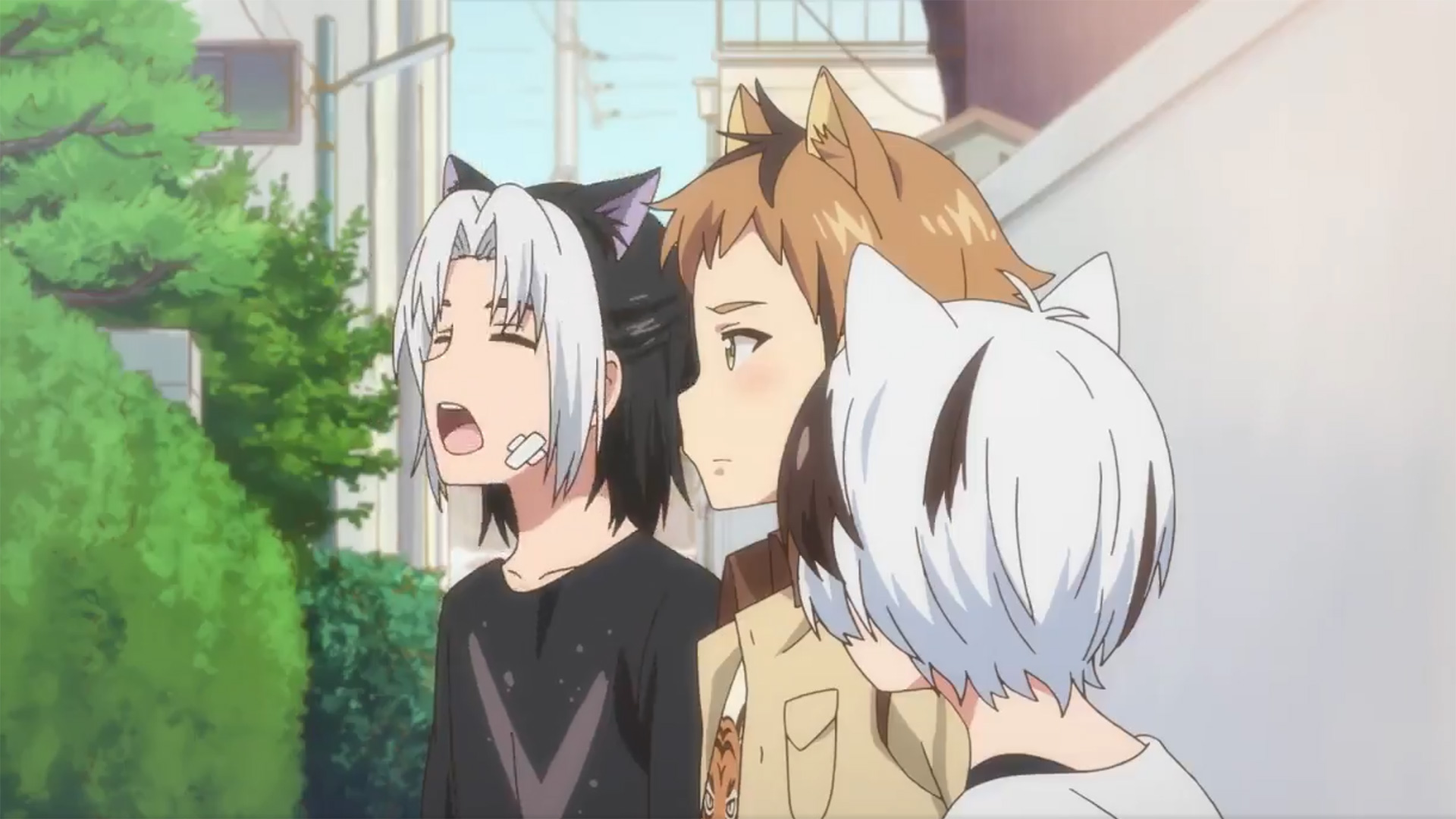 Novo trailer de Uchi Tama?! | OtakuPT