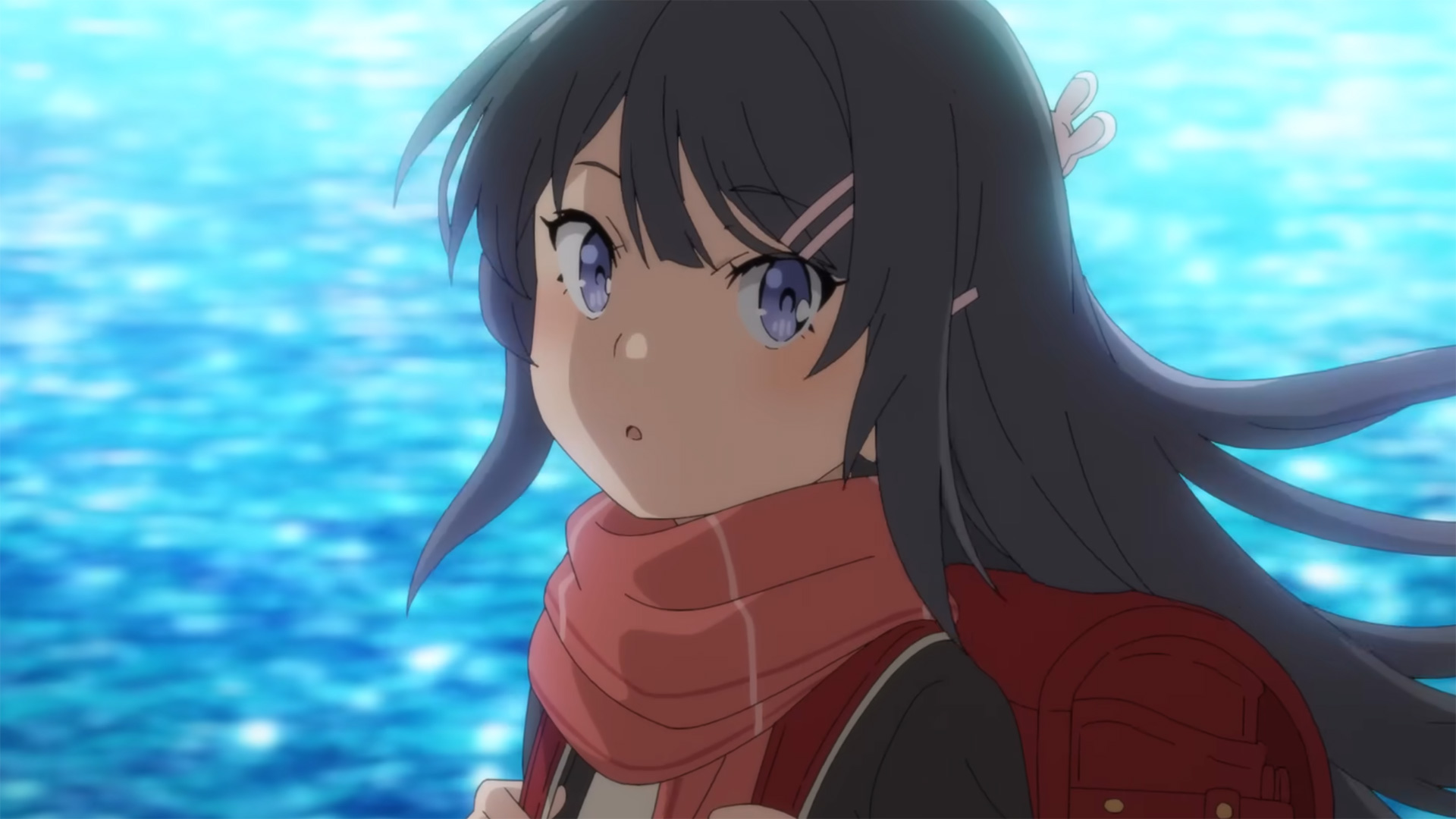 Vê aqui os primeiros 3 minutos de Rascal Does Not Dream of a Knapsack ...