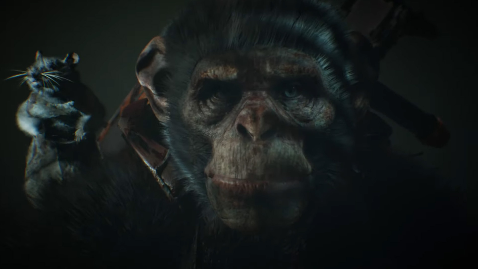 Animal Use Protocol anunciado para PC | OtakuPT