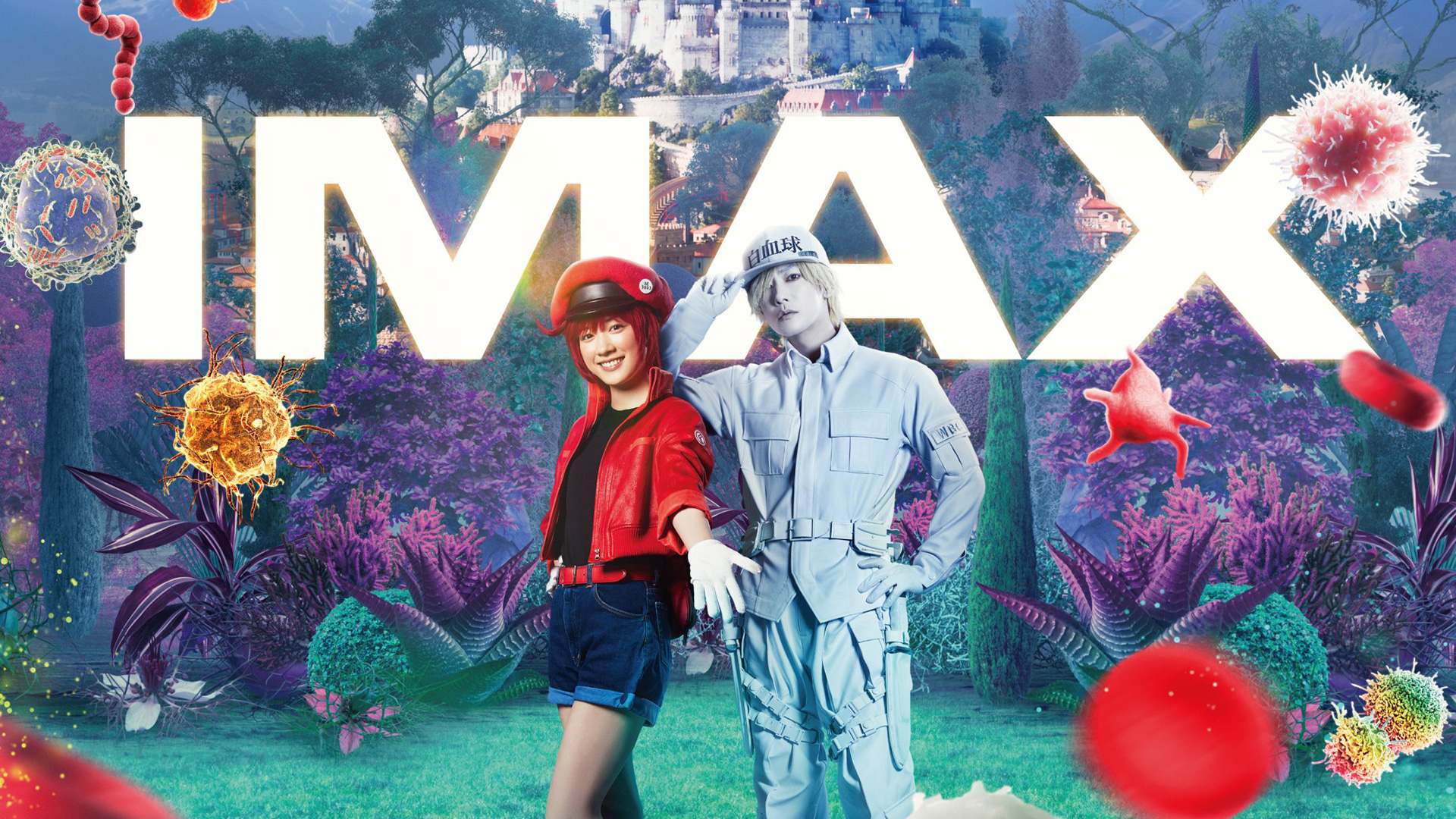 Poster IMAX do filme live-action de Cells at Work! | OtakuPT