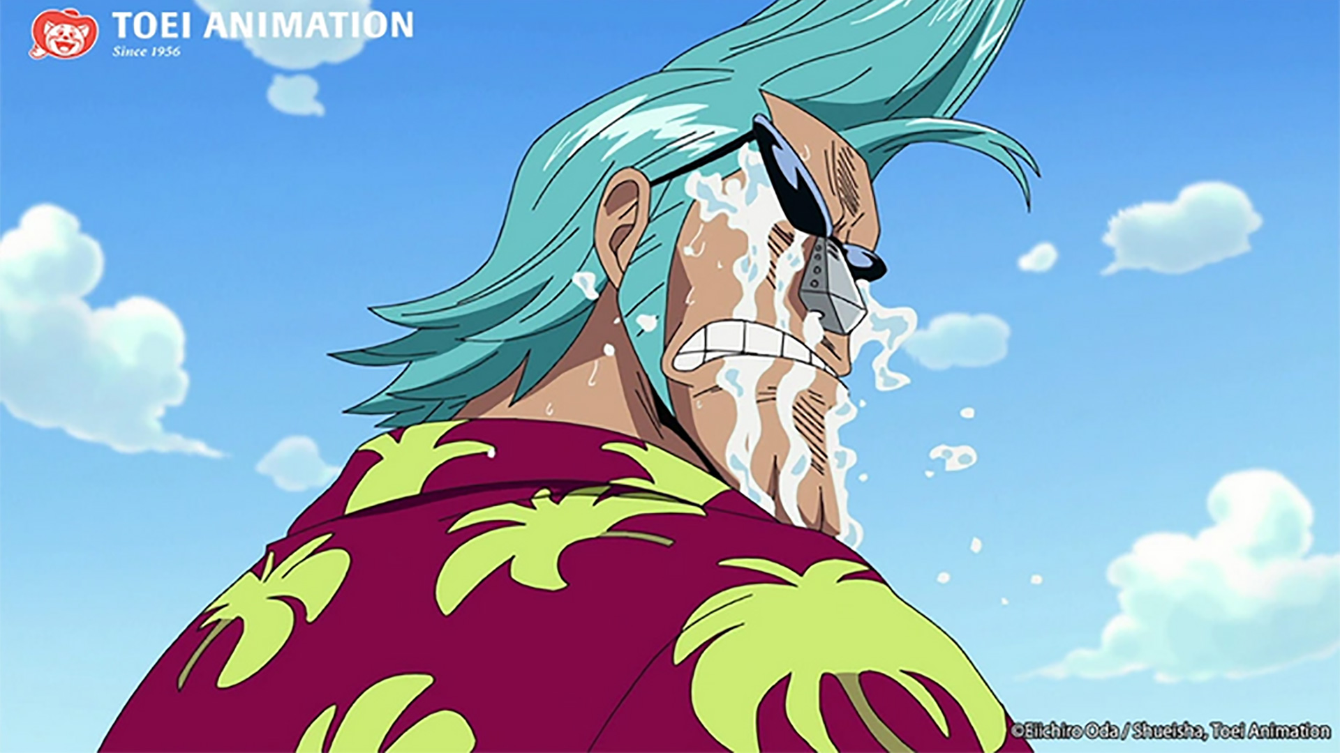 One Piece Franky Depois De 2 Anos