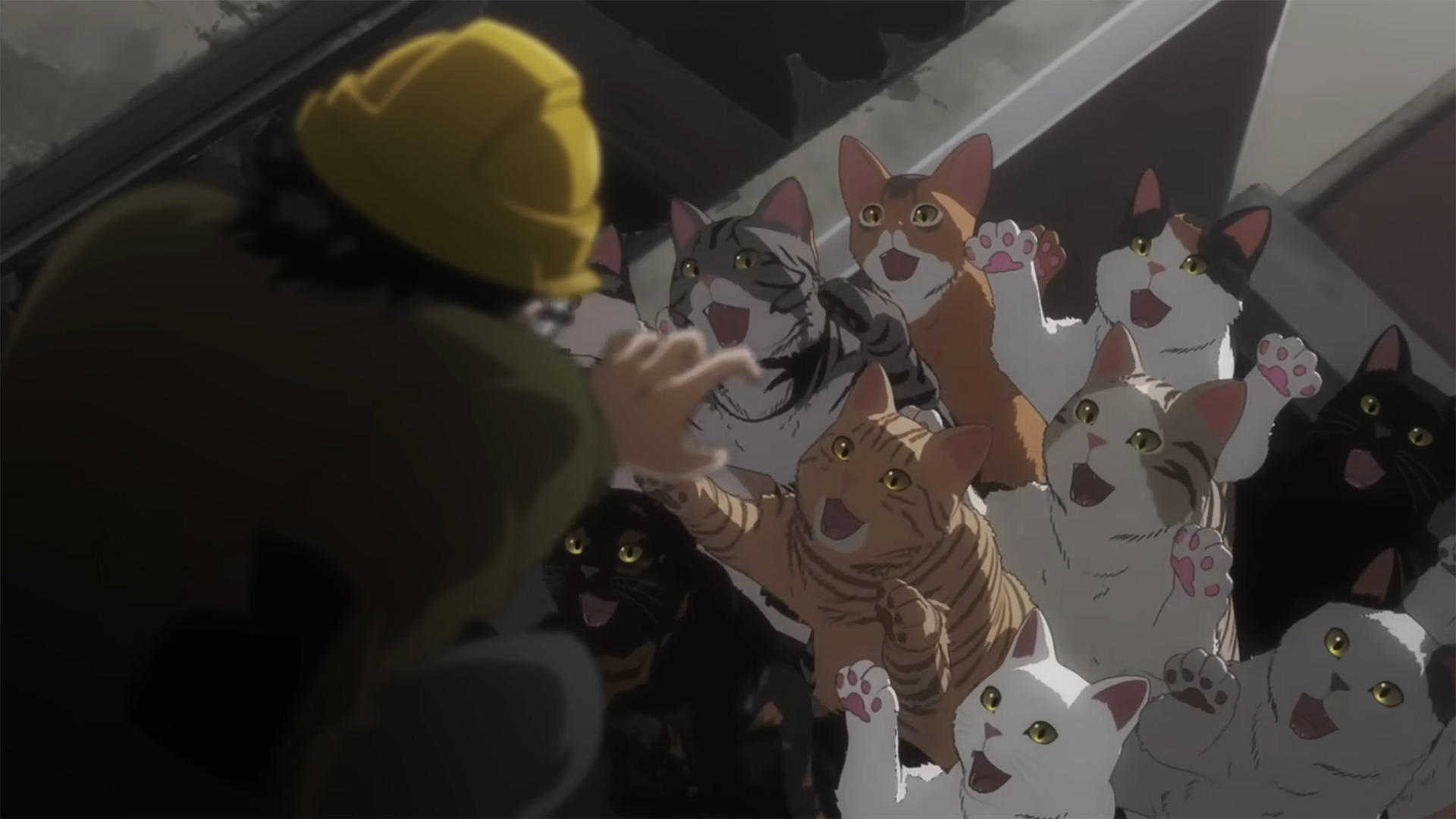 Trailer revela data de estreia do anime Nyaight of the Living Cat ...